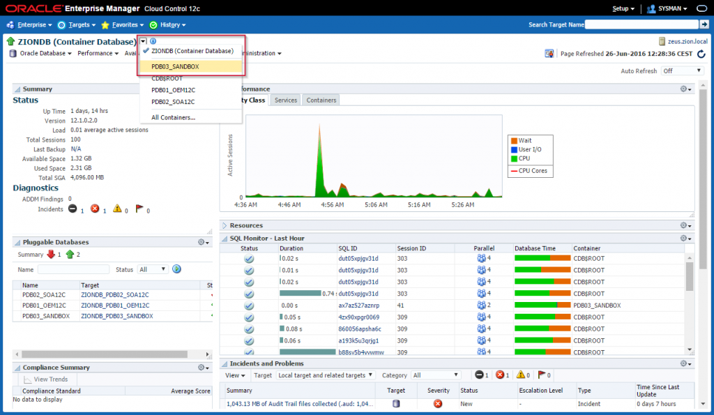 Oracle Data Redaction In Oracle Database 12c